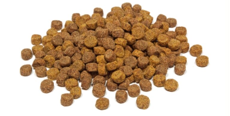 Alligator Food For Sale Online - Reptiles Heaven